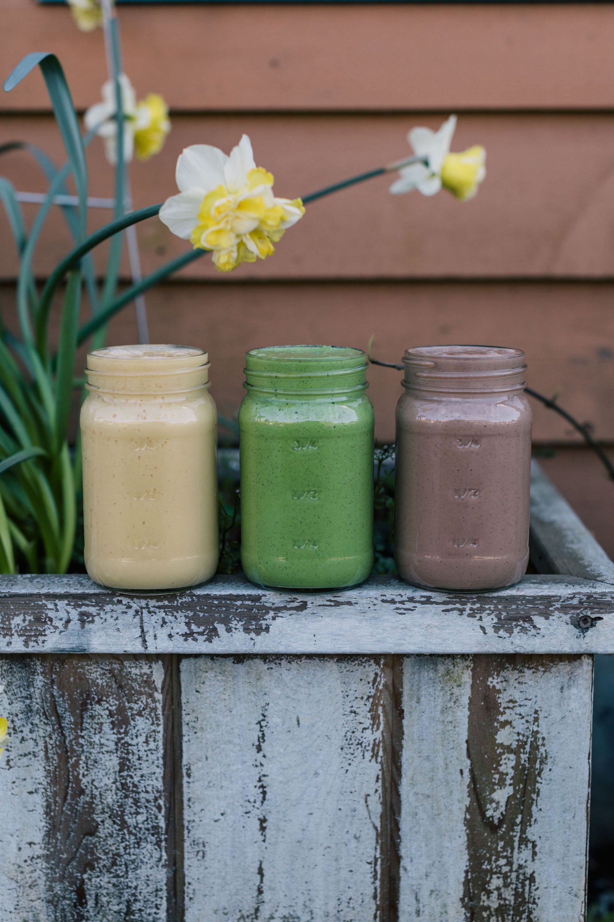 Gaia Grocery – Blue Friday